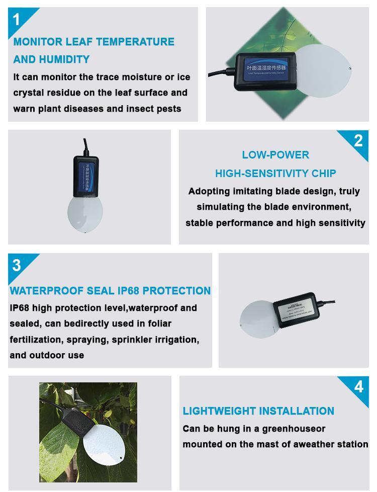 Leaf Wetness Sensor | CDW-22A For Agriculture Greenhouse