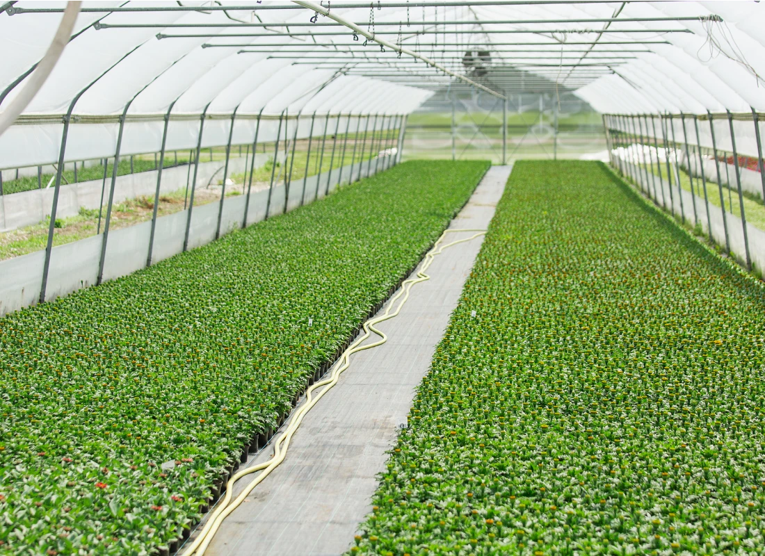 CODA News - Best Weather Station Manufacturer | Coda Sensors