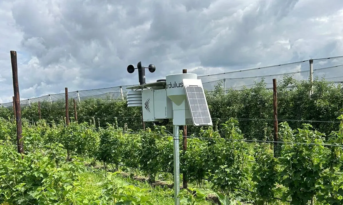 How To Defines A Micro Weather Station | CODA Sensors