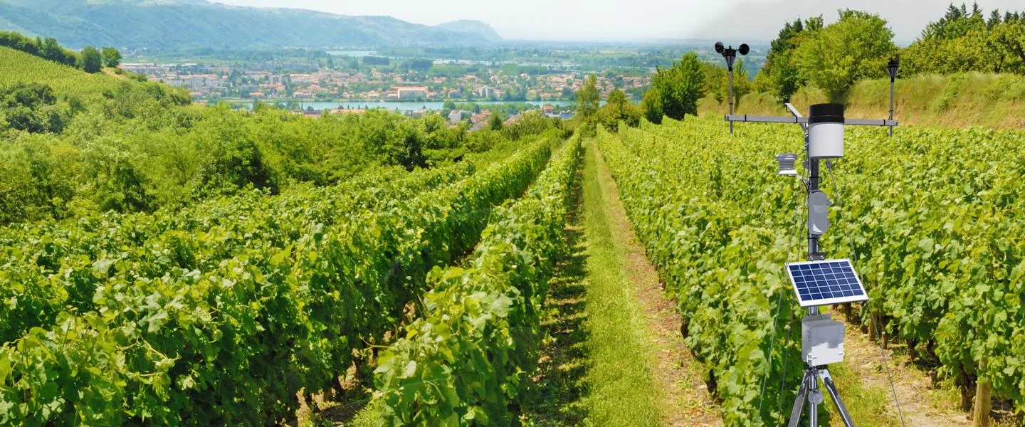 Evapotranspiration Sensors At Weather Stations | CODA